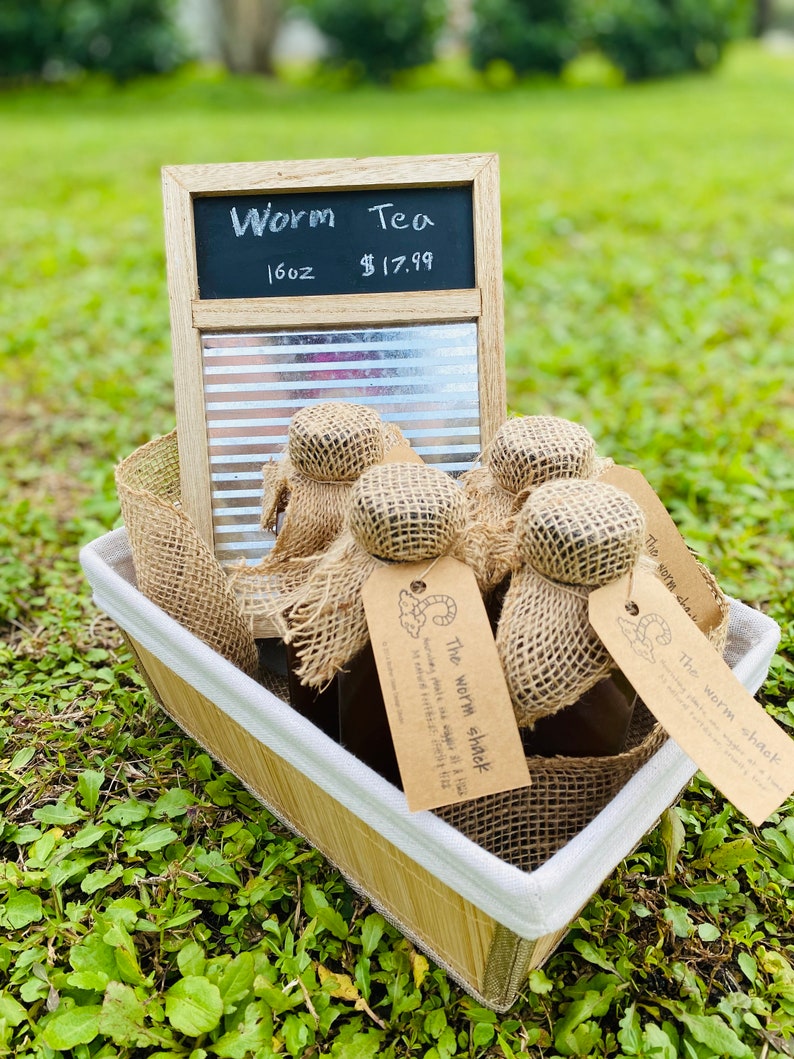 Worm Tea - Etsy