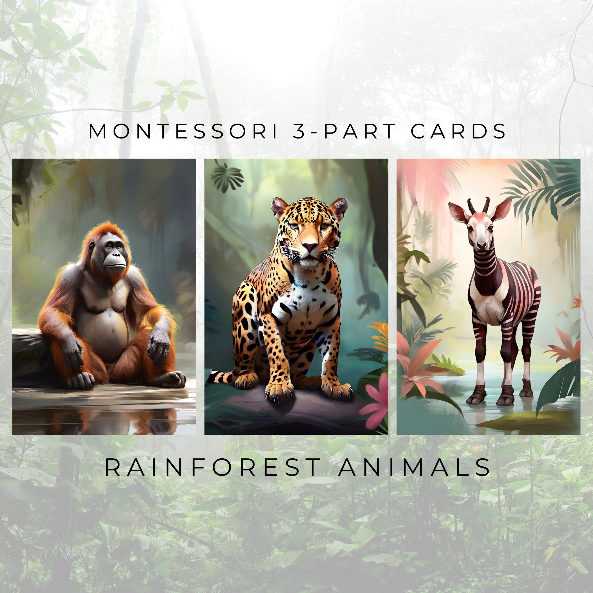 RAINFOREST ANIMALS Montessori 3-part Cards Flashcards - Etsy
