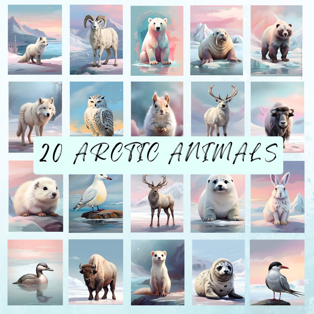 ARCTIC ANIMALS 20 Montessori 3-part Cards Flashcards - Etsy