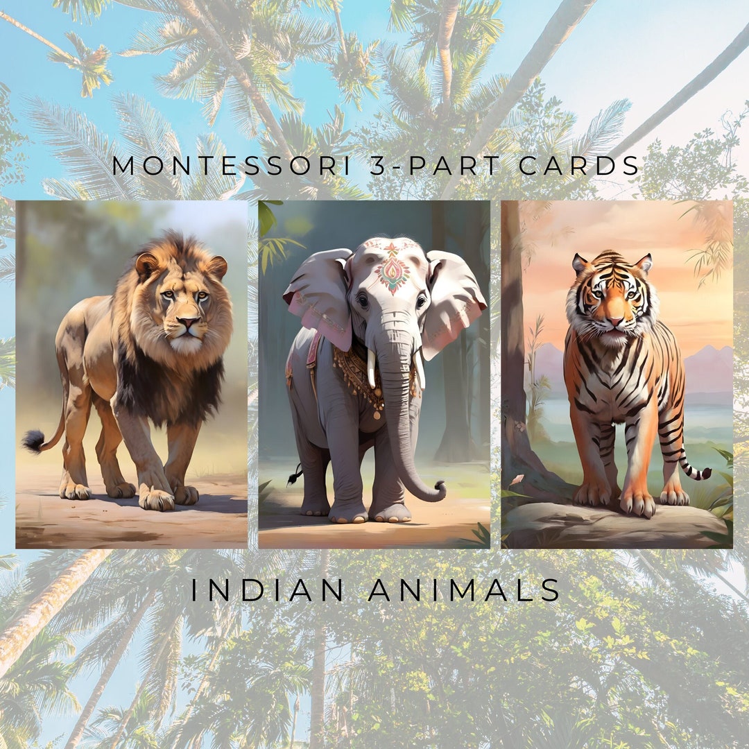 INDIAN ANIMALS 16 Montessori 3-part Cards Flashcards - Etsy
