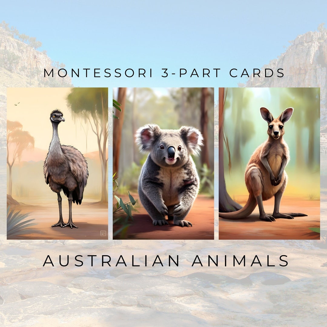 AUSTRALIAN ANIMALS 20 Montessori 3-part Cards Flashcards - Etsy