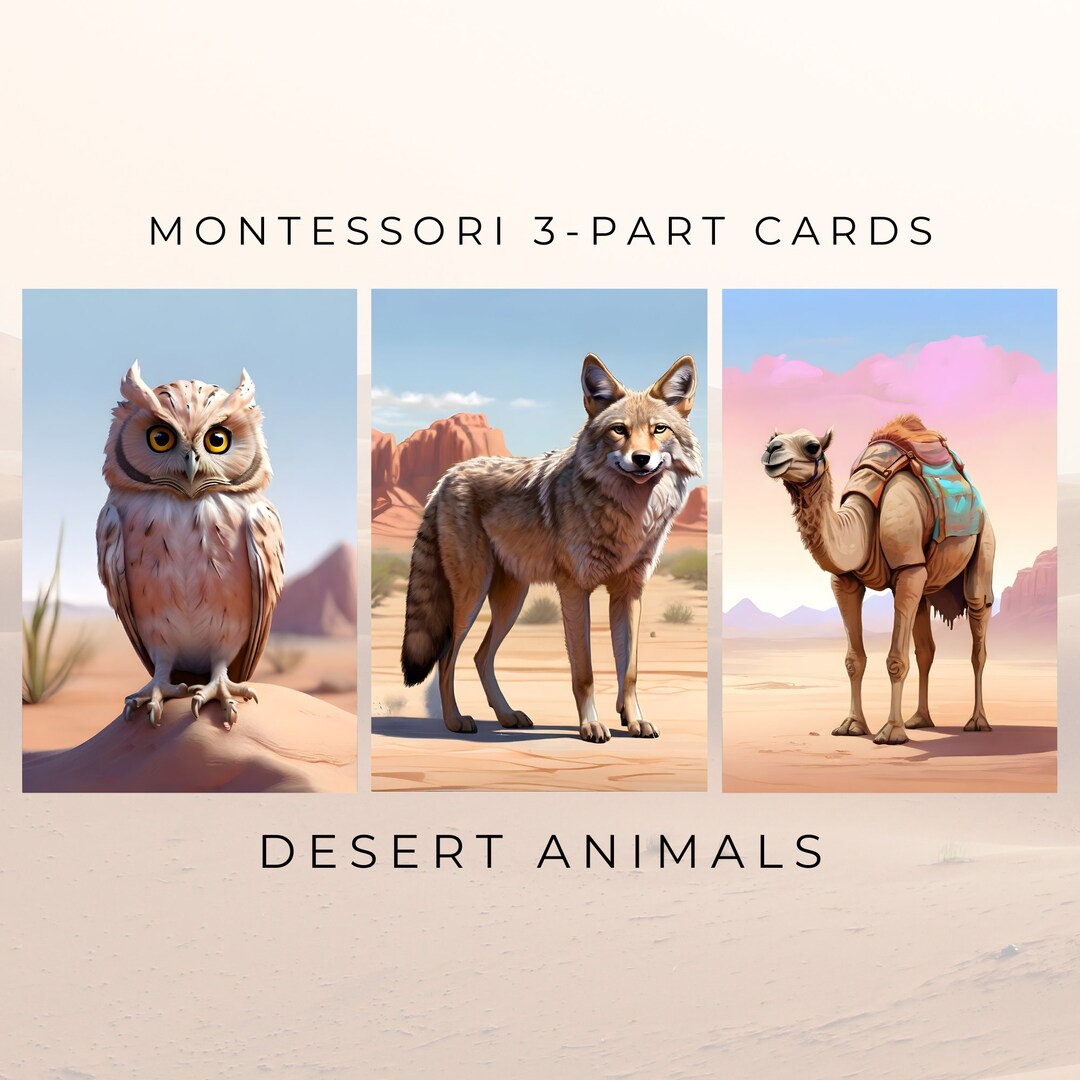 DESERT ANIMALS 20 Montessori 3-part Cards Flashcards - Etsy