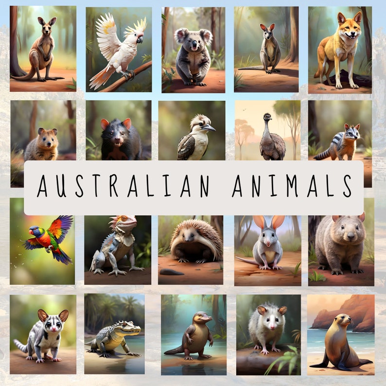 AUSTRALIAN ANIMALS 20 Montessori 3-part Cards Flashcards - Etsy