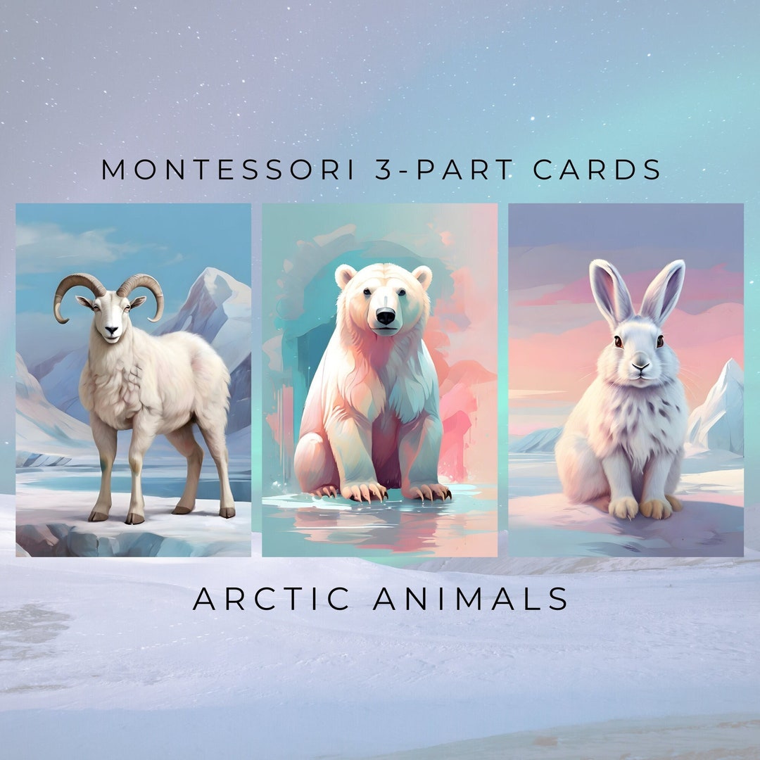 ARCTIC ANIMALS 20 Montessori 3-part Cards Flashcards - Etsy