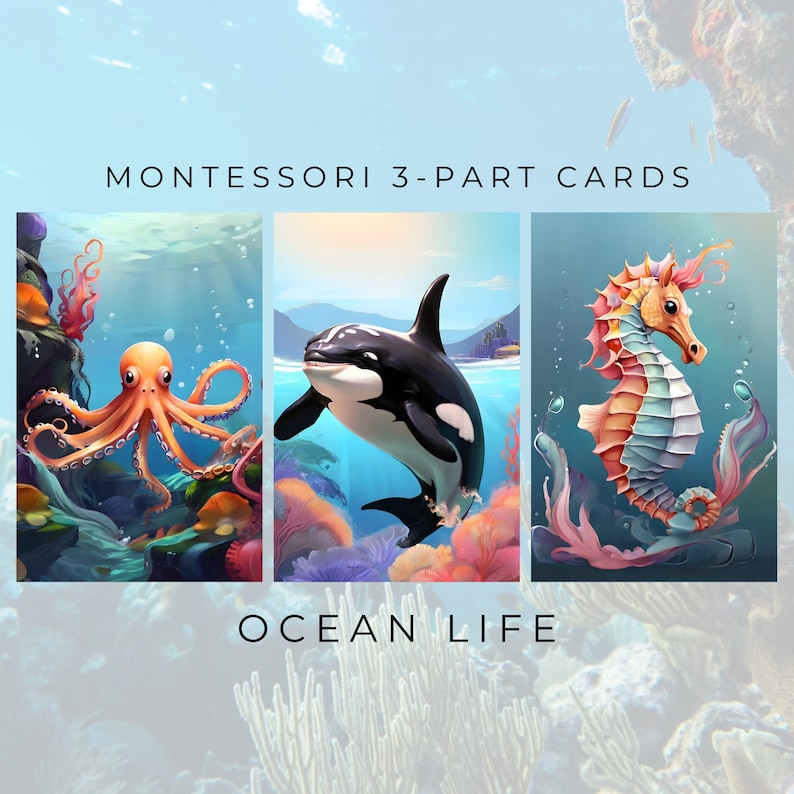 OCEAN LIFE 20 Montessori 3-part Cards Flashcards - Etsy