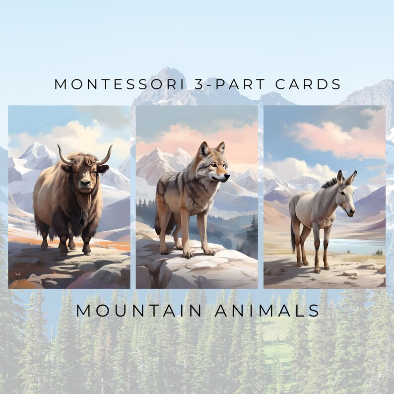 MOUNTAIN ANIMALS 20 Montessori 3-part Cards Flashcards - Etsy