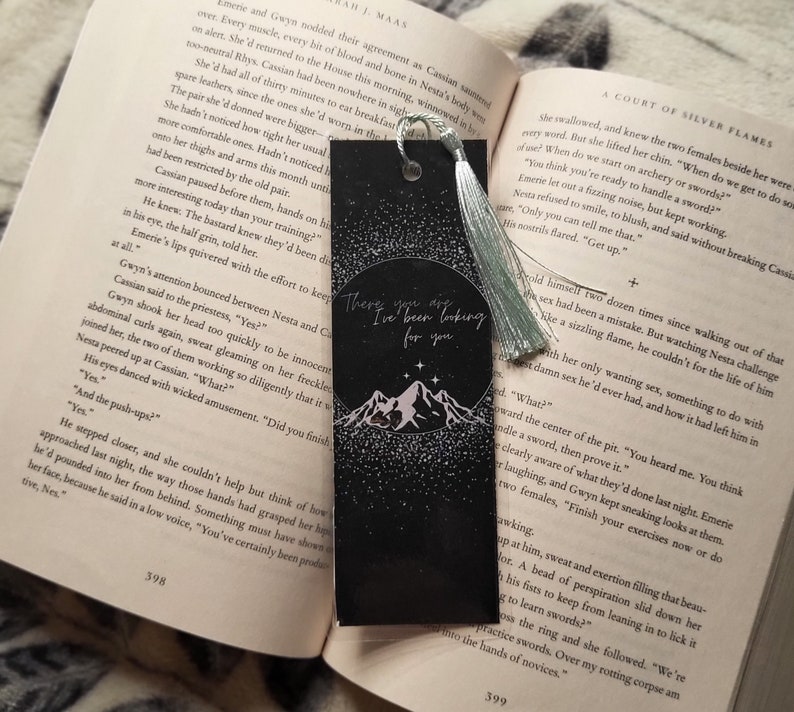 ACOTAR A Court of Thorns and Roses I've Been Looking for You Digital ...