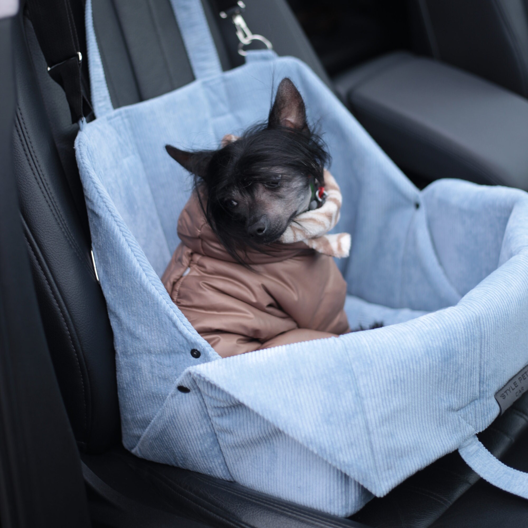 Car Console Dog Seat Etsy