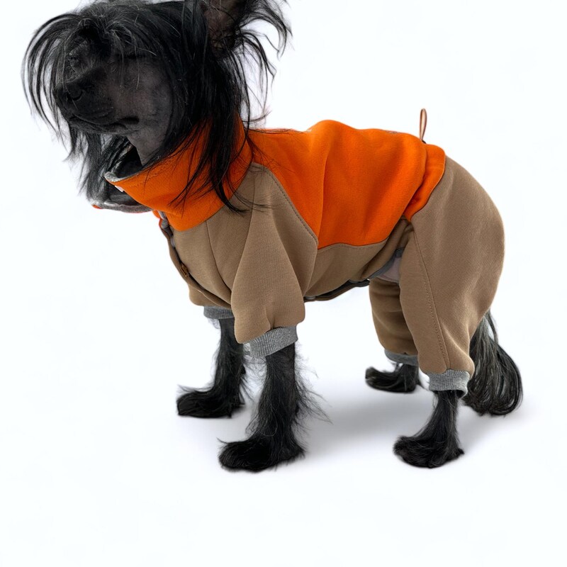 Luxury Dog Clothes - Etsy