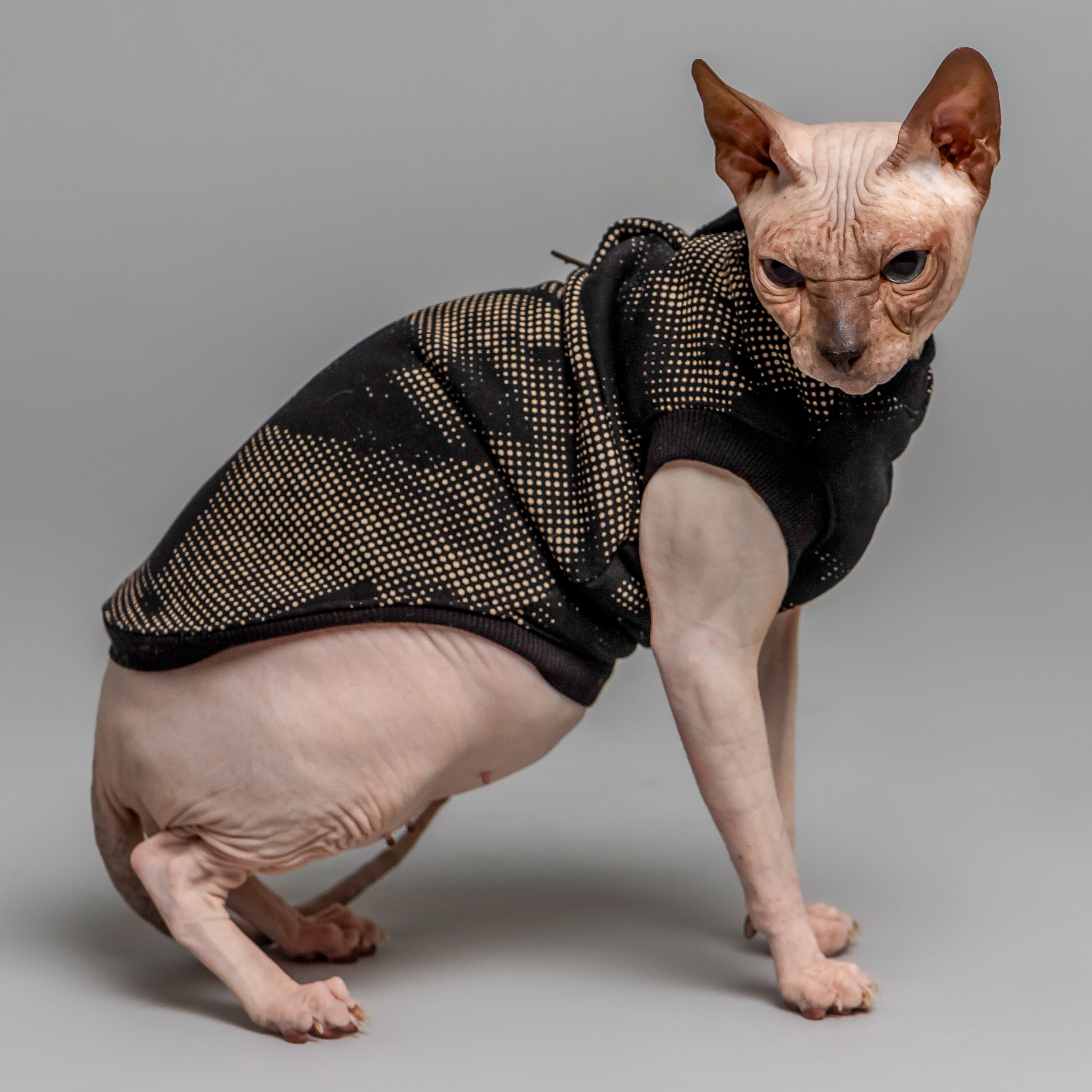 Sphynx Cat Clothes, on Cat Clothes Tunic, Sleeveless Cat Sweater, Pet ...