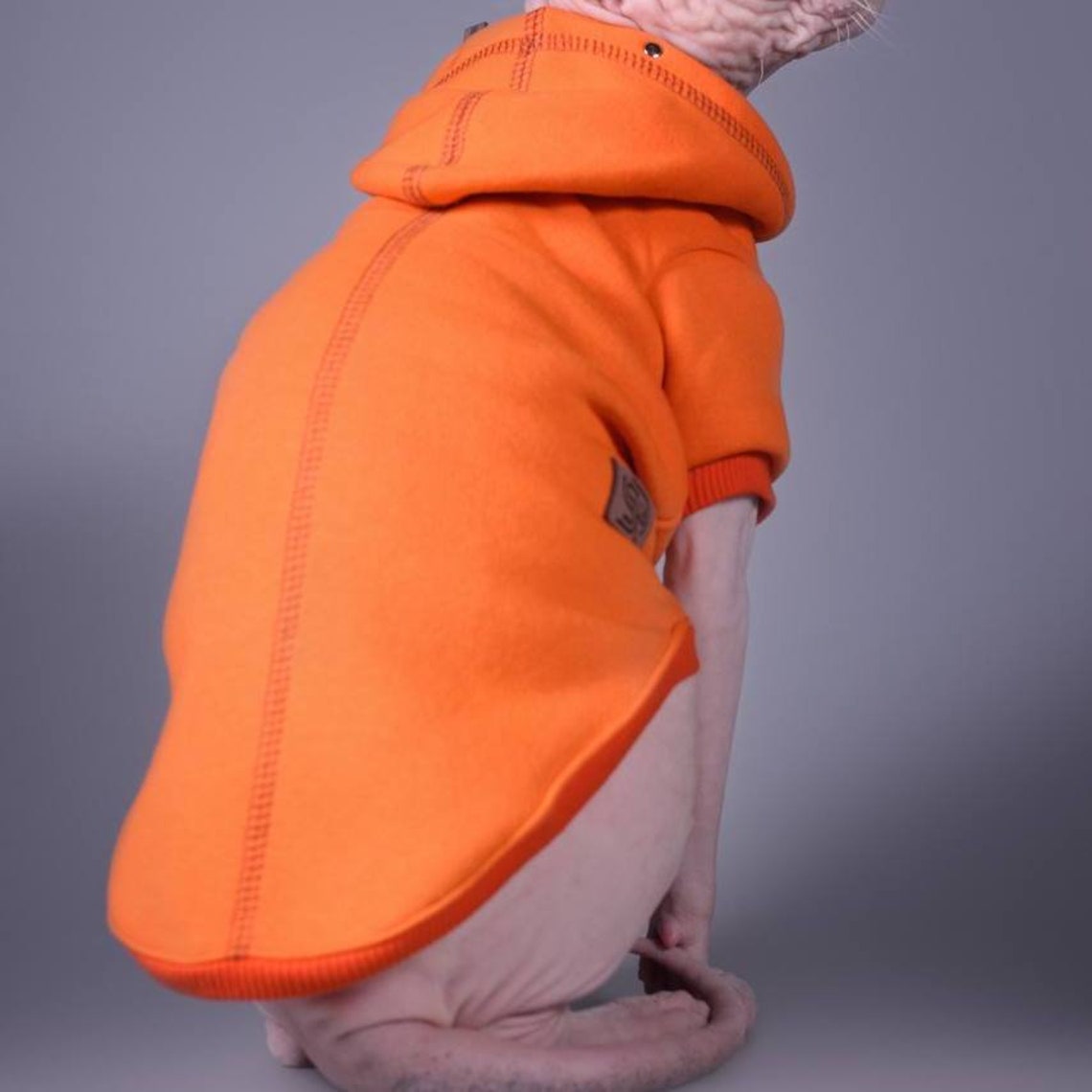 Cat Hoodie With Sleeve, Style Pets Squash Orange Cat, Feline Fashion ...