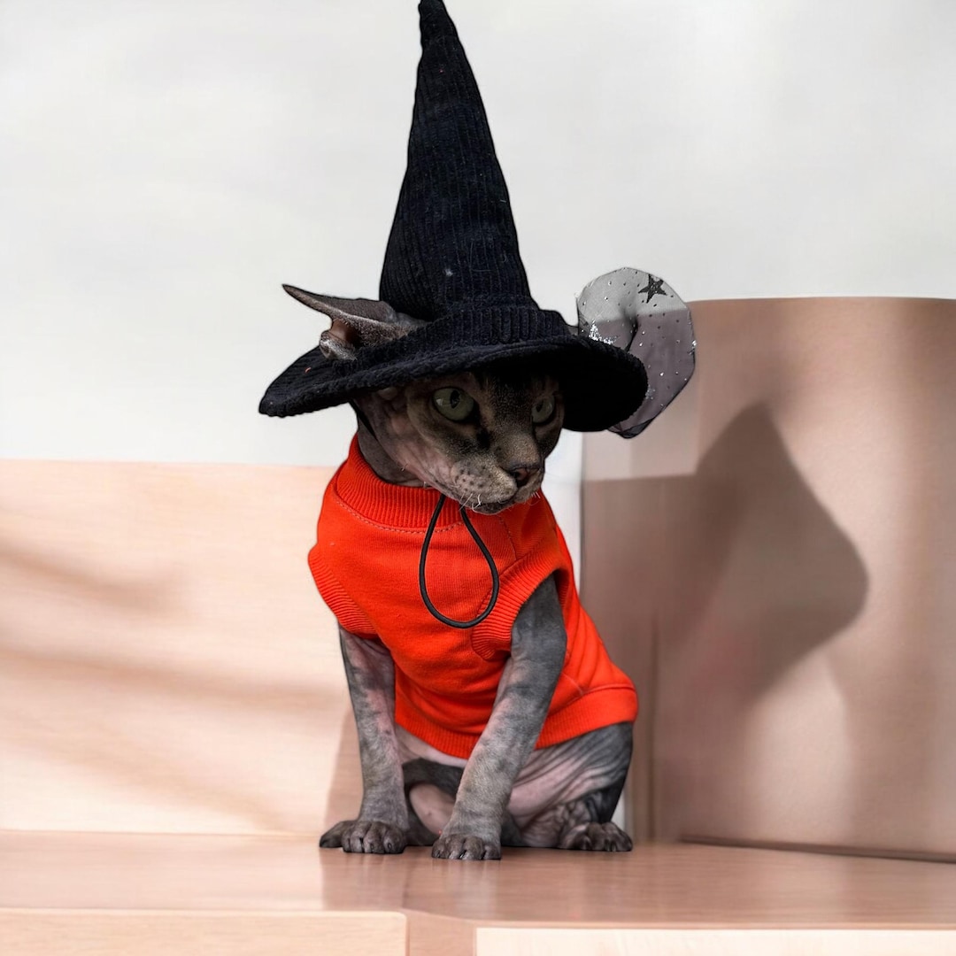 Wizard Hat for Cats, Black Witch Hat for Kittens, Pet Supplies, Cat ...