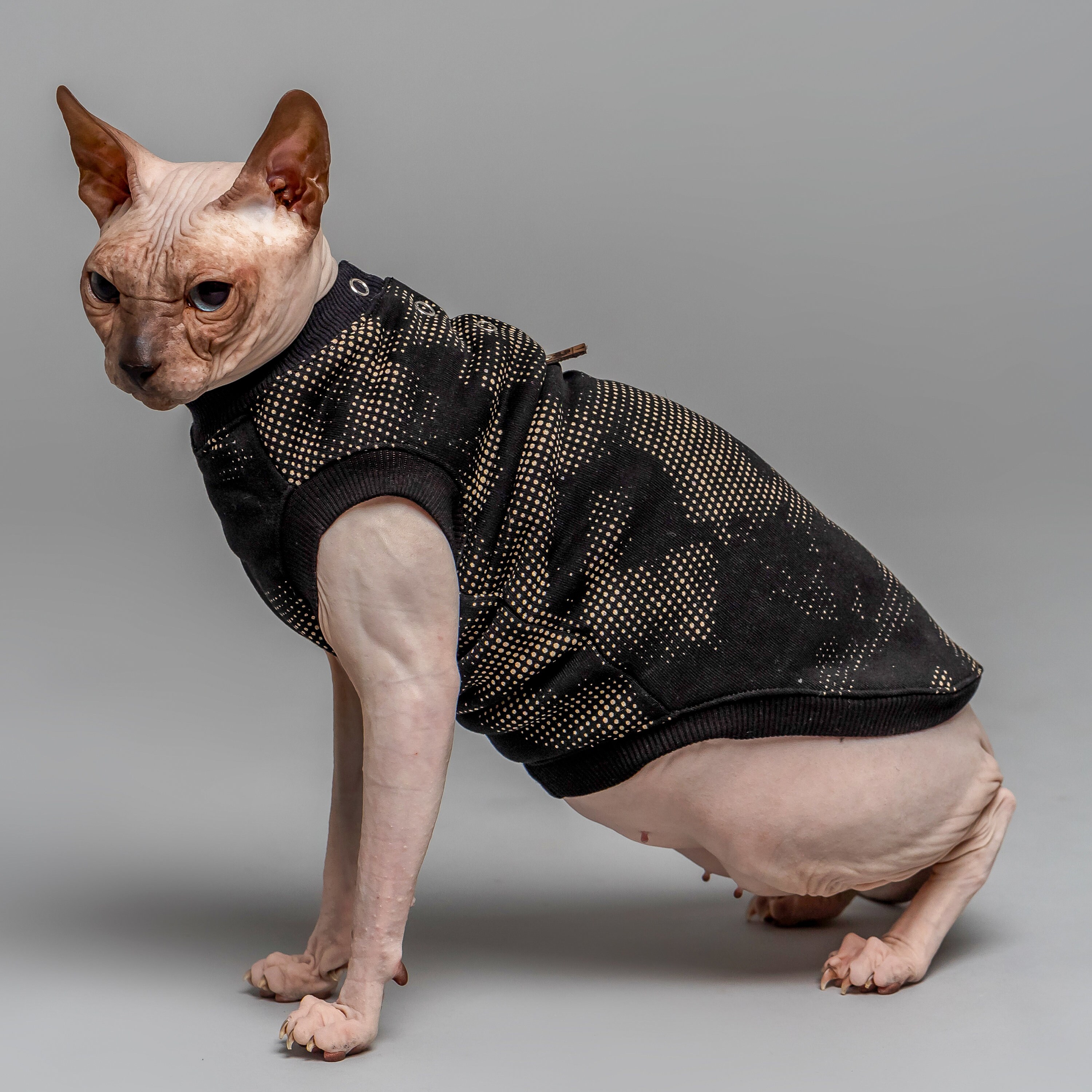 Sphynx Cat Clothes, on Cat Clothes Tunic, Sleeveless Cat Sweater, Pet ...