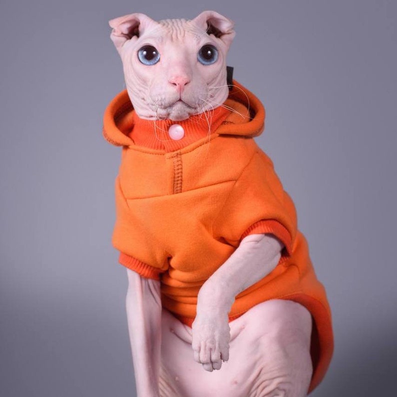 Cat Hoodie With Sleeve, Style Pets Squash Orange Cat, Feline Fashion ...