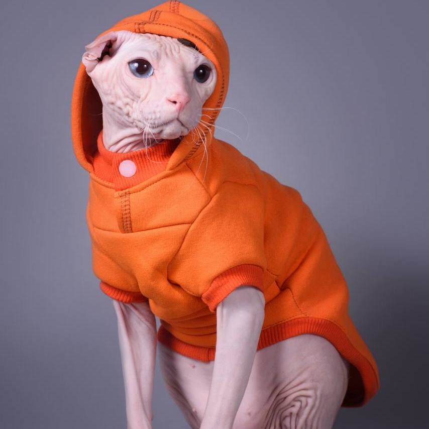 Cat Hoodie With Sleeve, Style Pets Squash Orange Cat, Feline Fashion ...