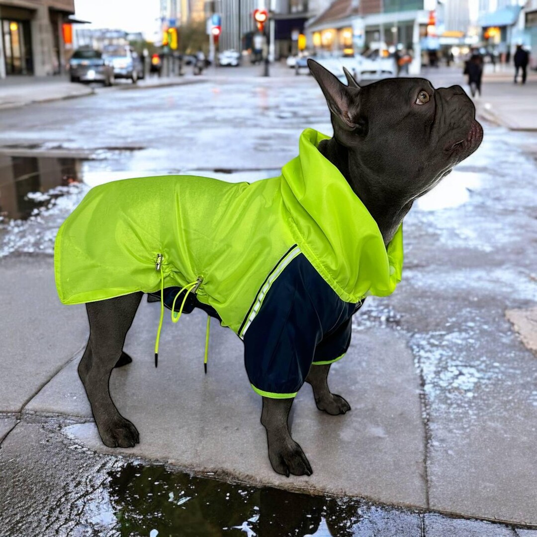 Custom Dog Raincoat, Large Dog Jacket, New Puppy Gift, Green Dog Suit ...