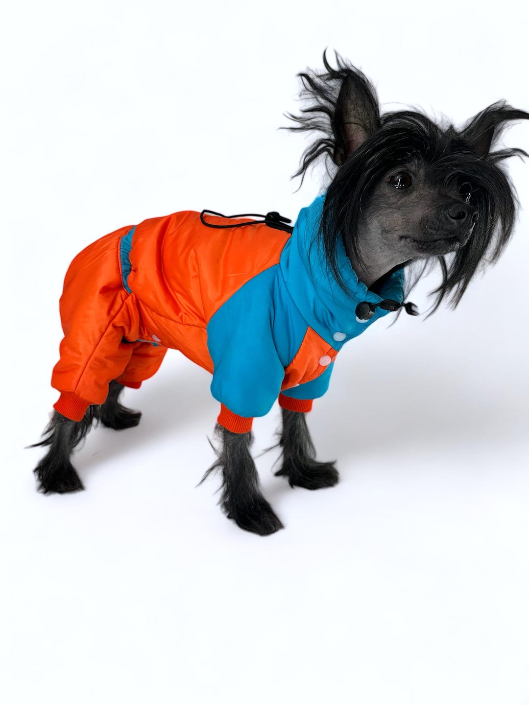 Winter Dog Onesie, Dog Down Jacket, Warm Dog Sweater, Custom Dog Hoodie ...
