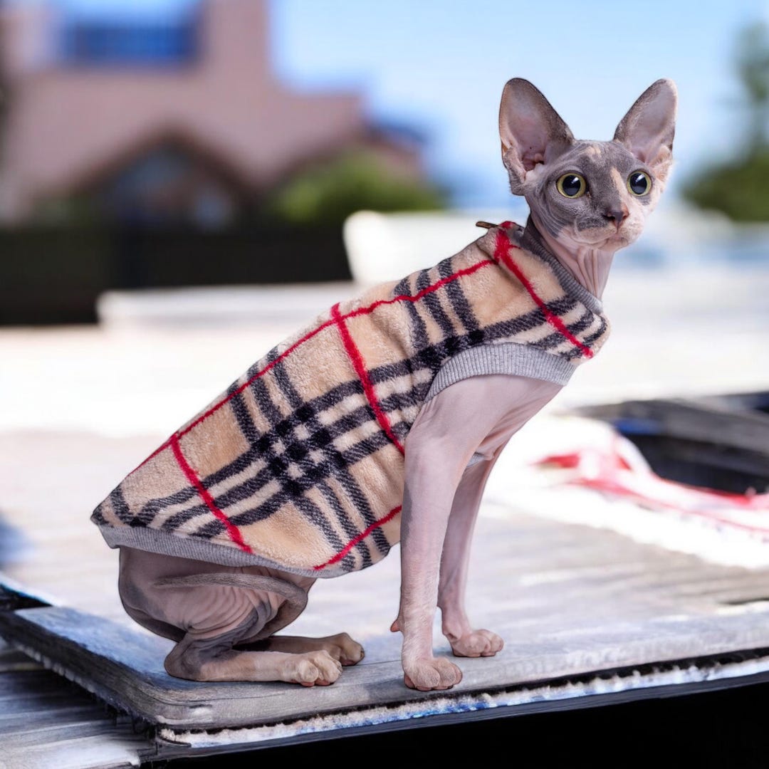 Sphynx Cat Chequered Jacket, Cat Winter Coat, Pet Apparel, Sphynx Cat ...