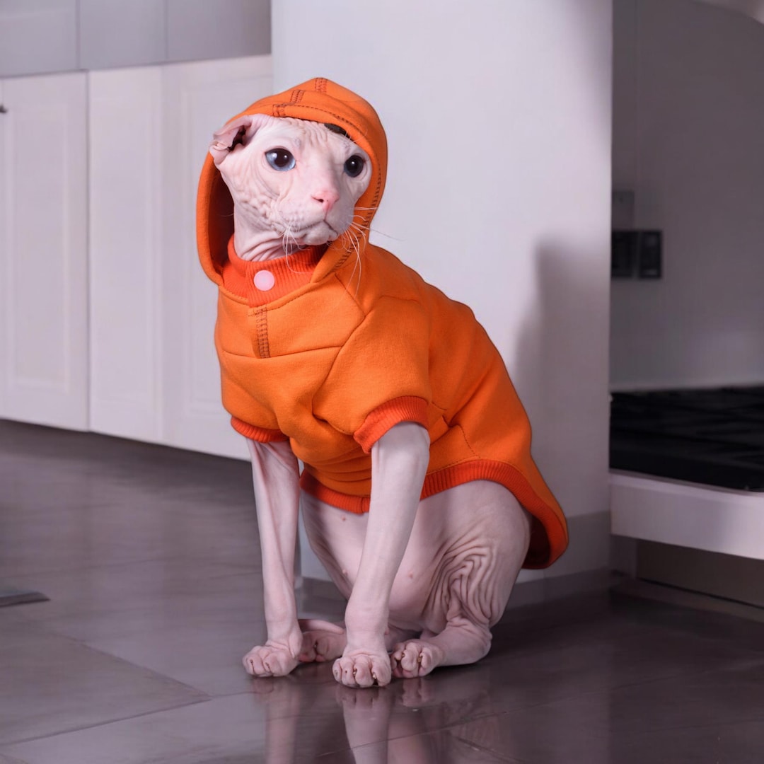 Hairless Cat Orange Hoodie, Cat Clothes for Cats, Stylish Pet Clothes ...