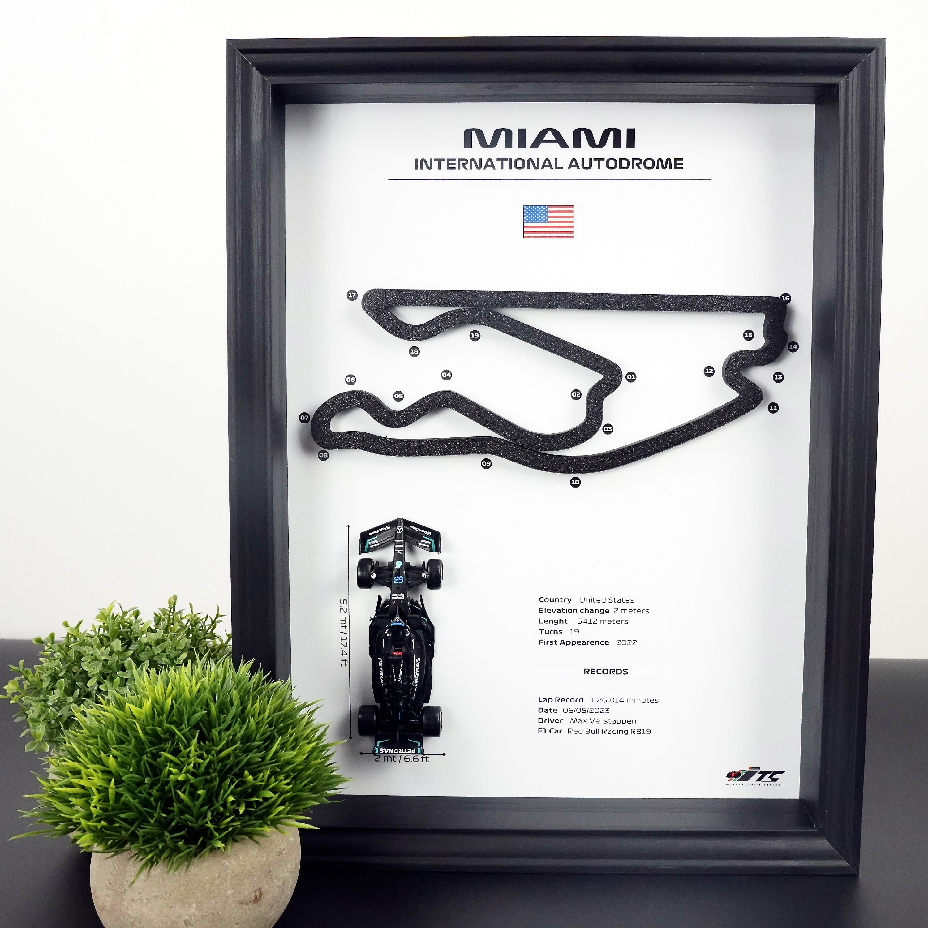 USA Collection F1 Frame With Car and 3D Track F1 Wall Art 40x30cm ...