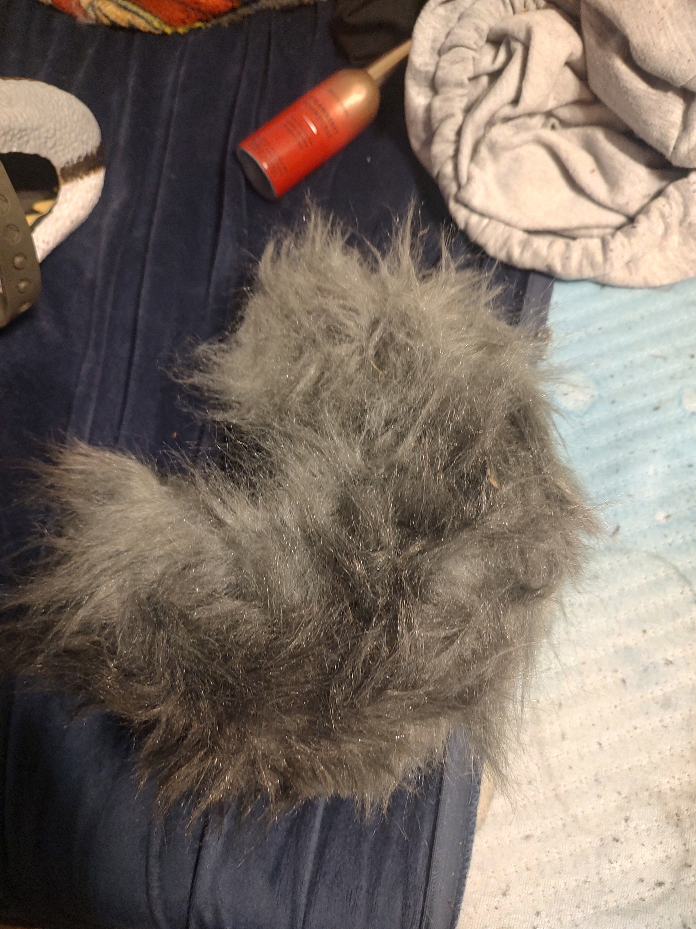 Pre-painted Raptor Dino Mask and Tail - Etsy