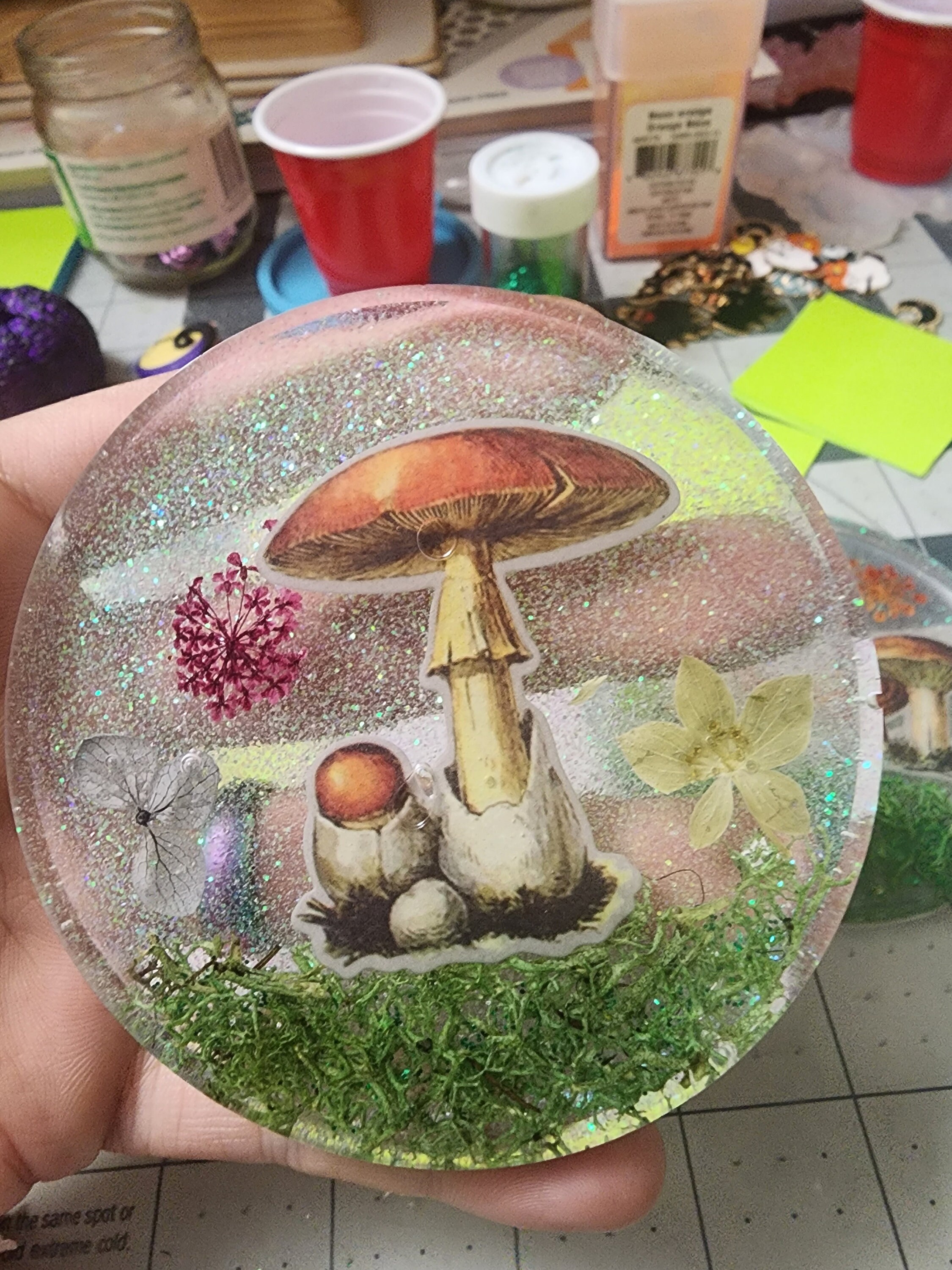 Mushroom Flower Real Moss Coaster and Holder Set - Etsy
