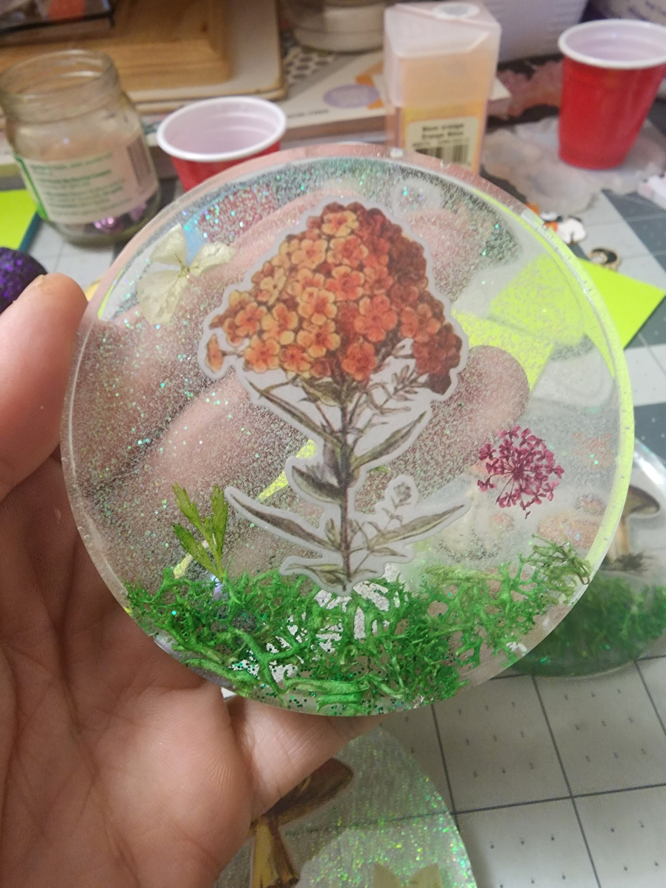 Mushroom Flower Real Moss Coaster and Holder Set - Etsy