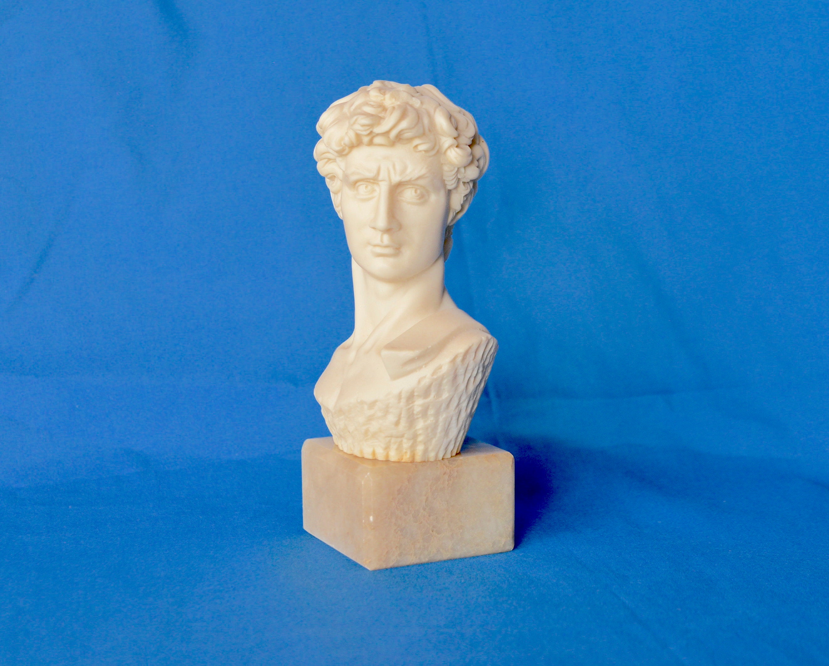 David by Michelangelo, Italy Bust Cast Stone of David in Onyx Base From ...