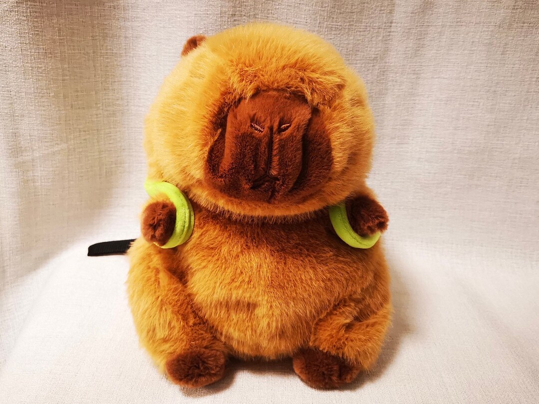 Turtle Capybara Chalk Bag - Etsy Canada