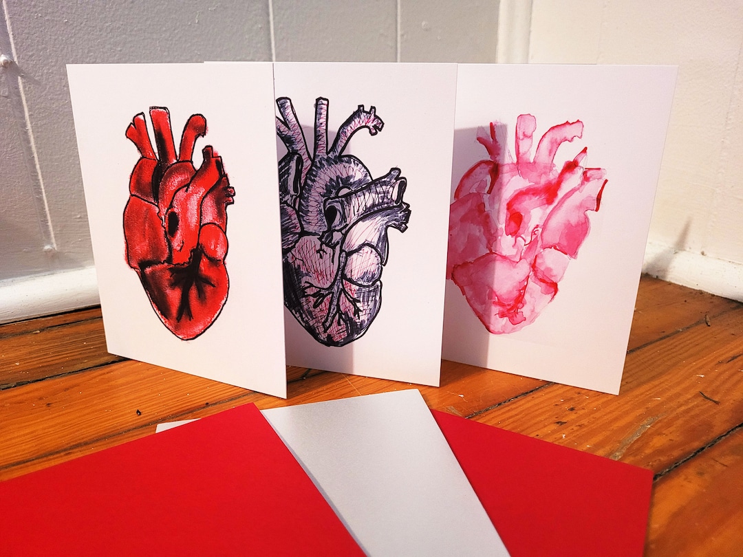 Anatomical Heart Valentine's Day Cards - Pack of 3 - Etsy