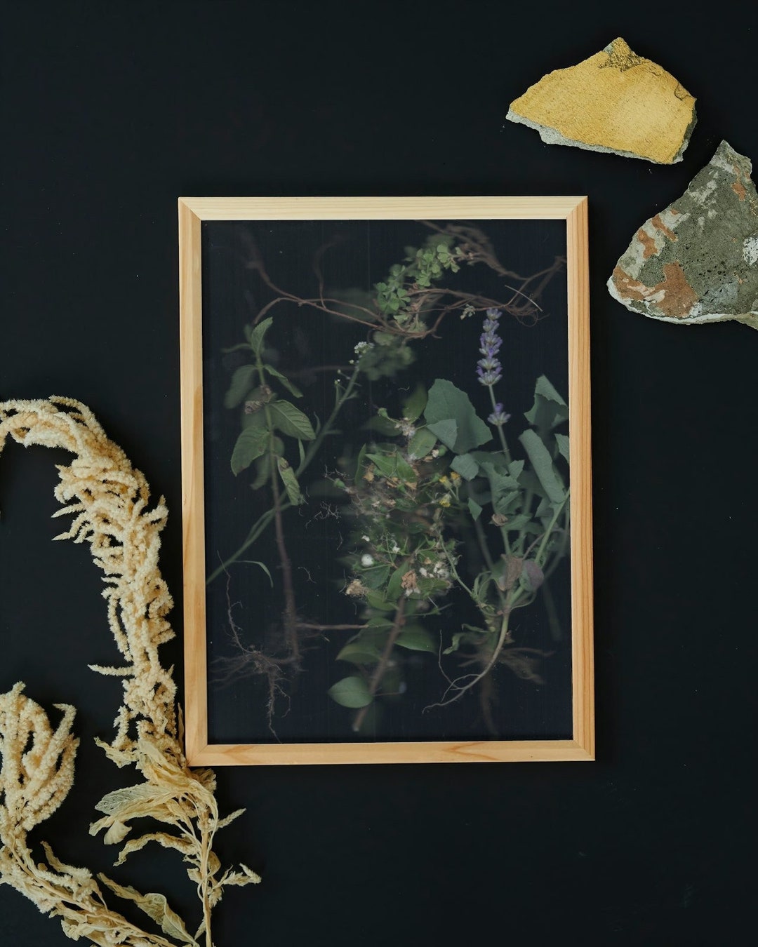 Nature Poster, Botanical Poster, Scanography Poster, Instant Download ...