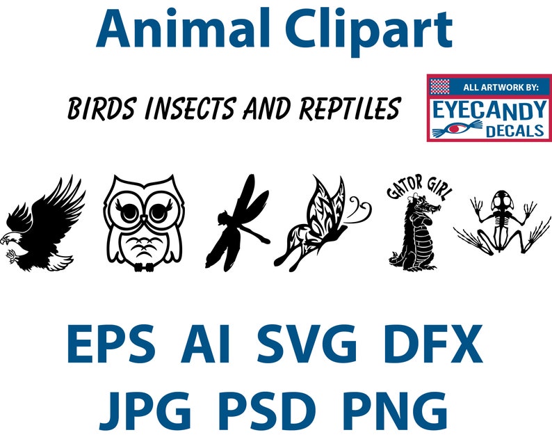 Birds Insects and Reptiles Vector Clipart - Etsy