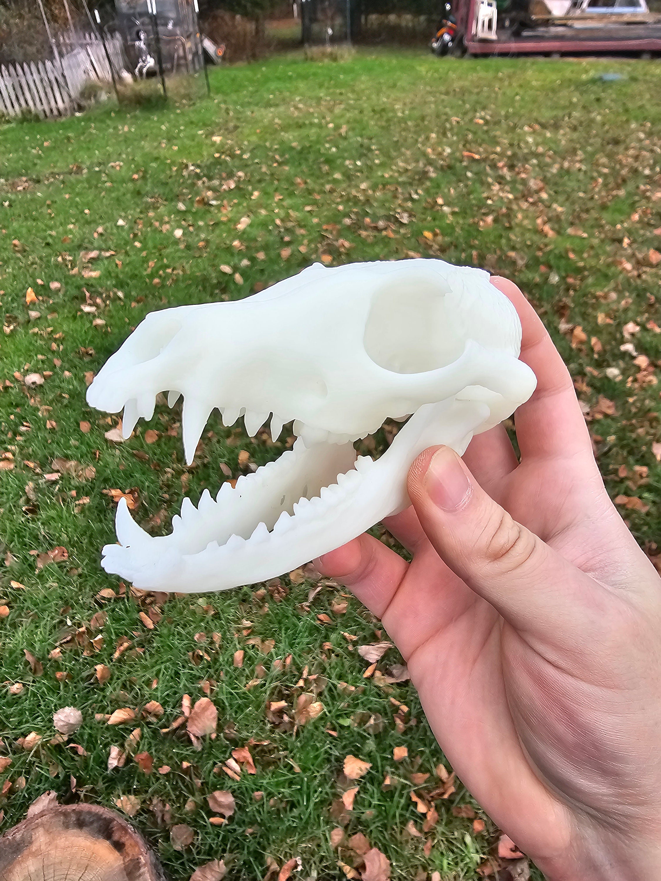 Fox Skull Resin 3d Print free Shipping in the US - Etsy