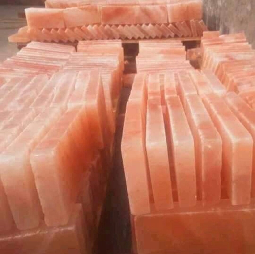 Pink Himalayan Salt Bricks 8 Inches 4 Inches 2 Inches - Etsy