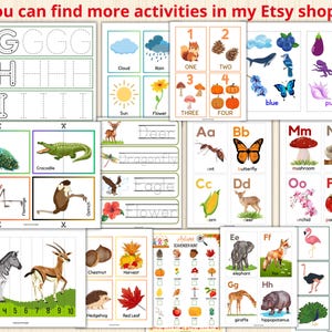 Australia Scavenger Hunt,australian Nature Hunt,australian Activity ...