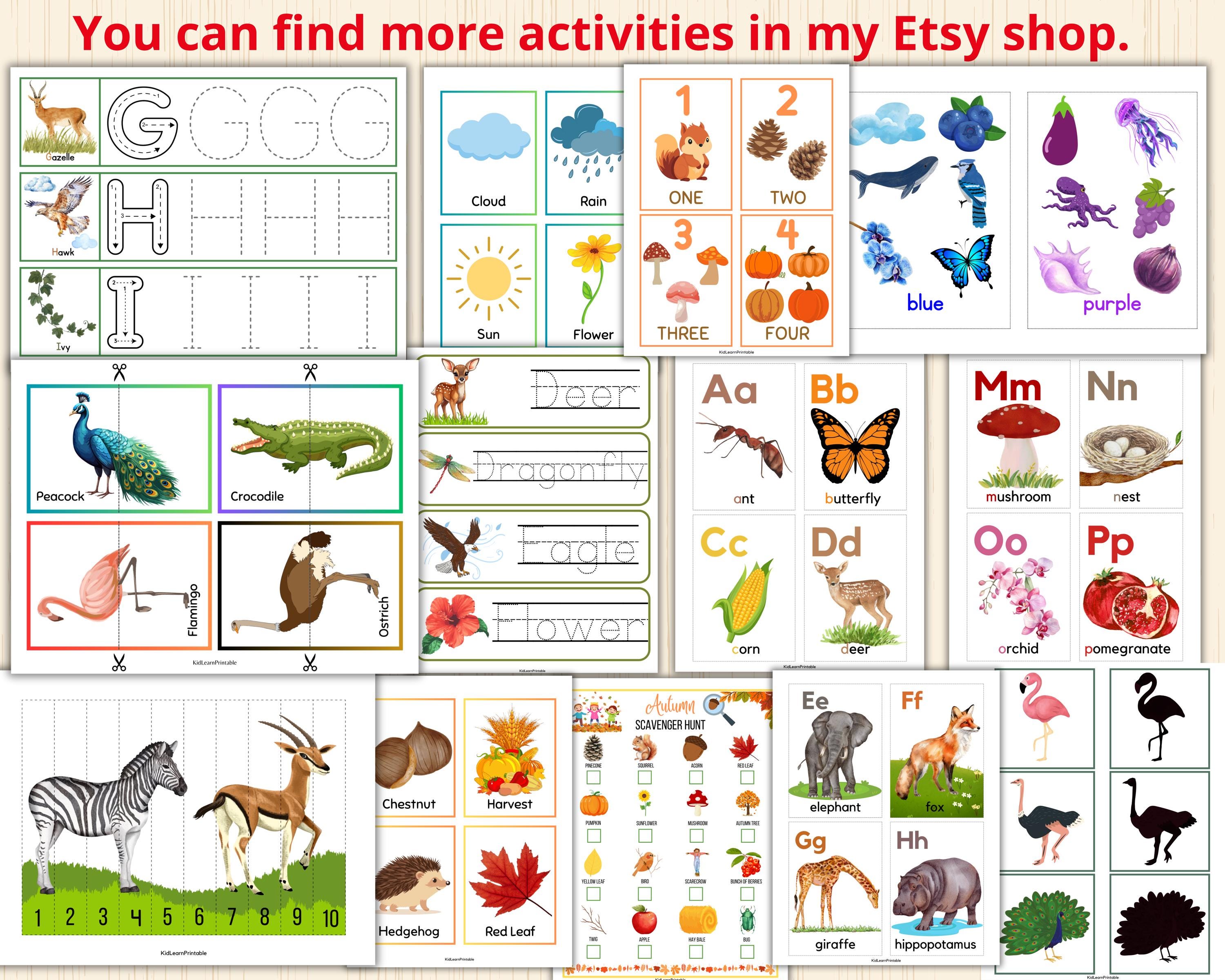 Australia Scavenger Hunt,australian Nature Hunt,australian Activity ...