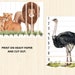 African Animal Number Puzzle, Numbers 1-10,african Animals Montessori ...