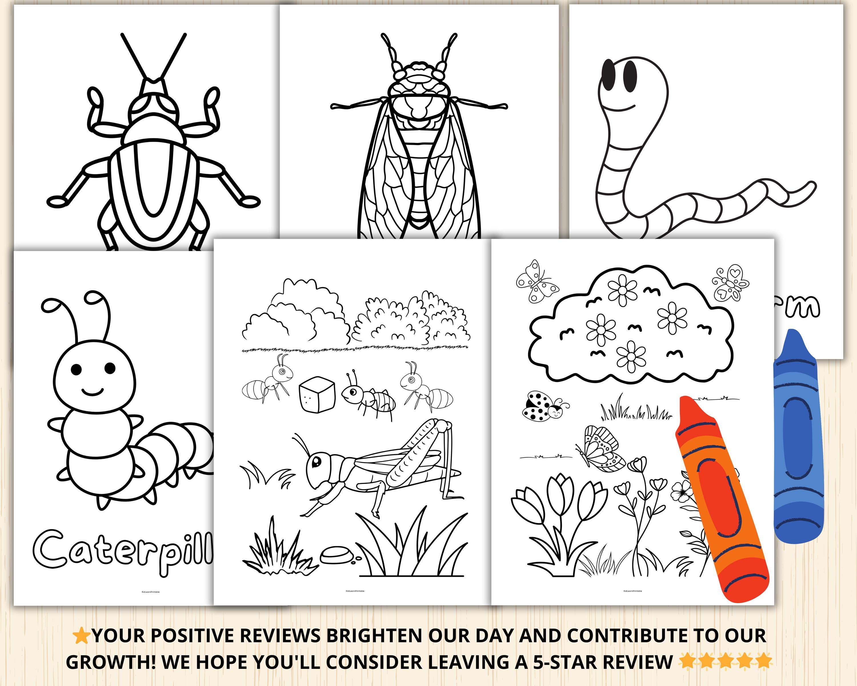 Insect Coloring Pages,bugs Coloring Sheet,insect Coloring Book,spring ...