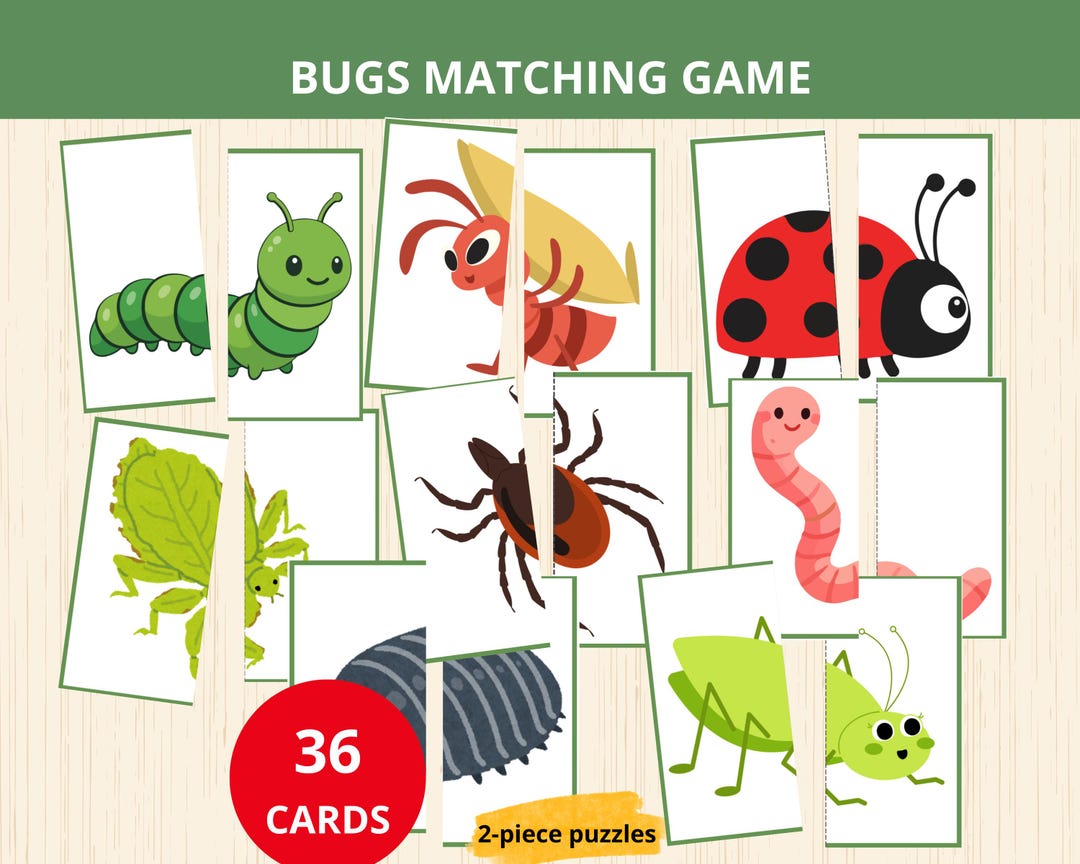 Bugs Matching Game,bug Symmetry Cards,insect Matching Game,insect Unit ...