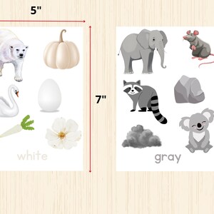 Colors in Nature Flashcards,nature Color Flashcards,montessori Colors ...