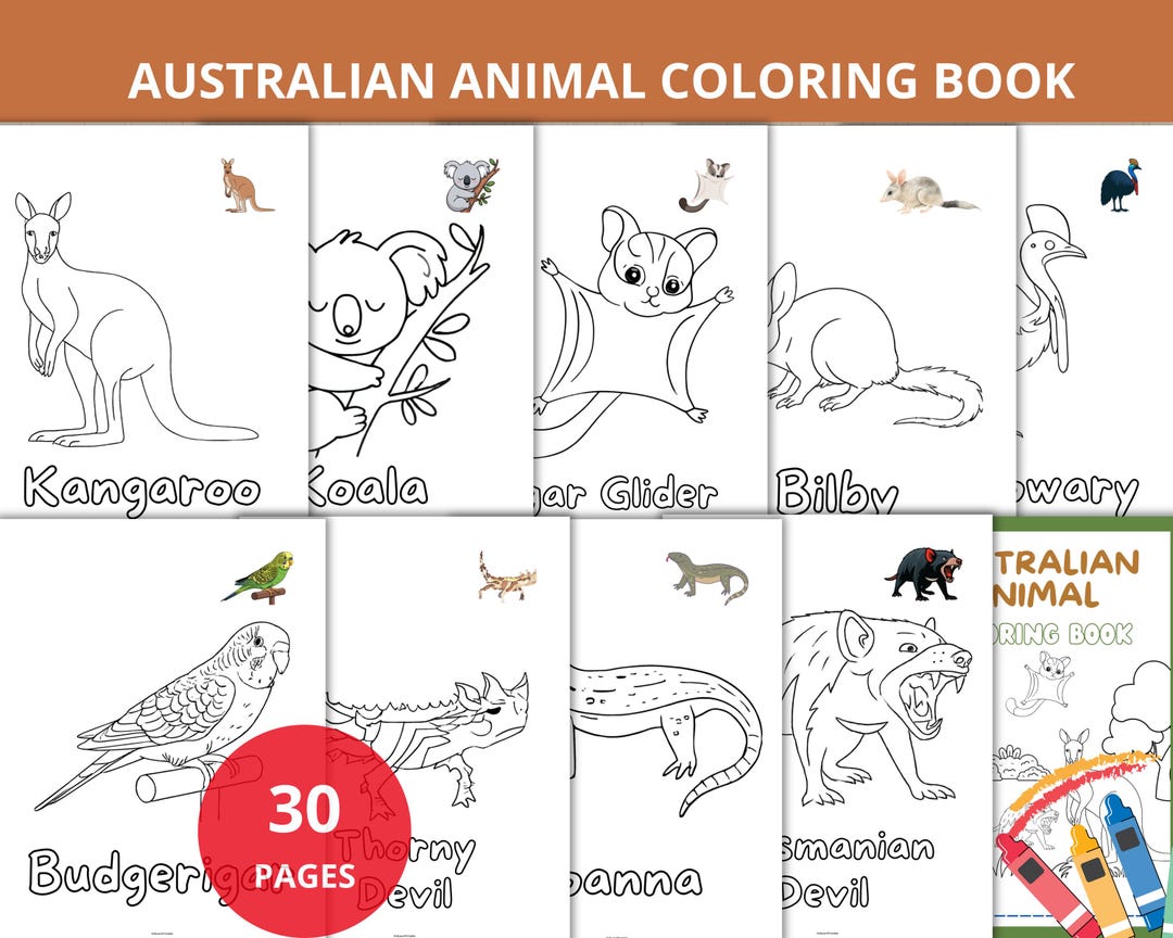 Australian Animals Coloring Pages,australian Animals Preschool,aussie ...