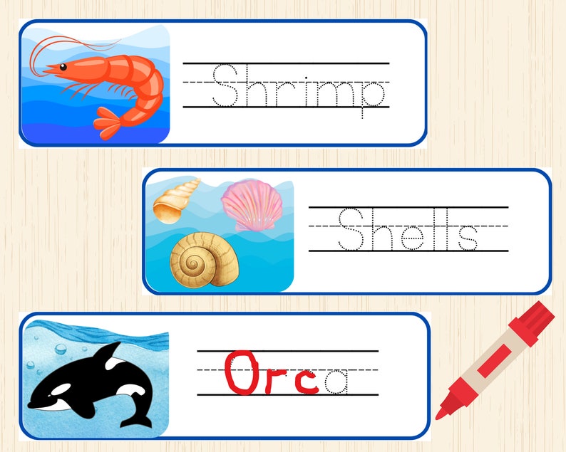 Ocean Animals Word Tracing,sea Animals Tracing,sealife Tracing,summer ...