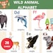 Wild Animals Flashcards,jungle Animals Alphabet,wild Animals Vocabulary ...