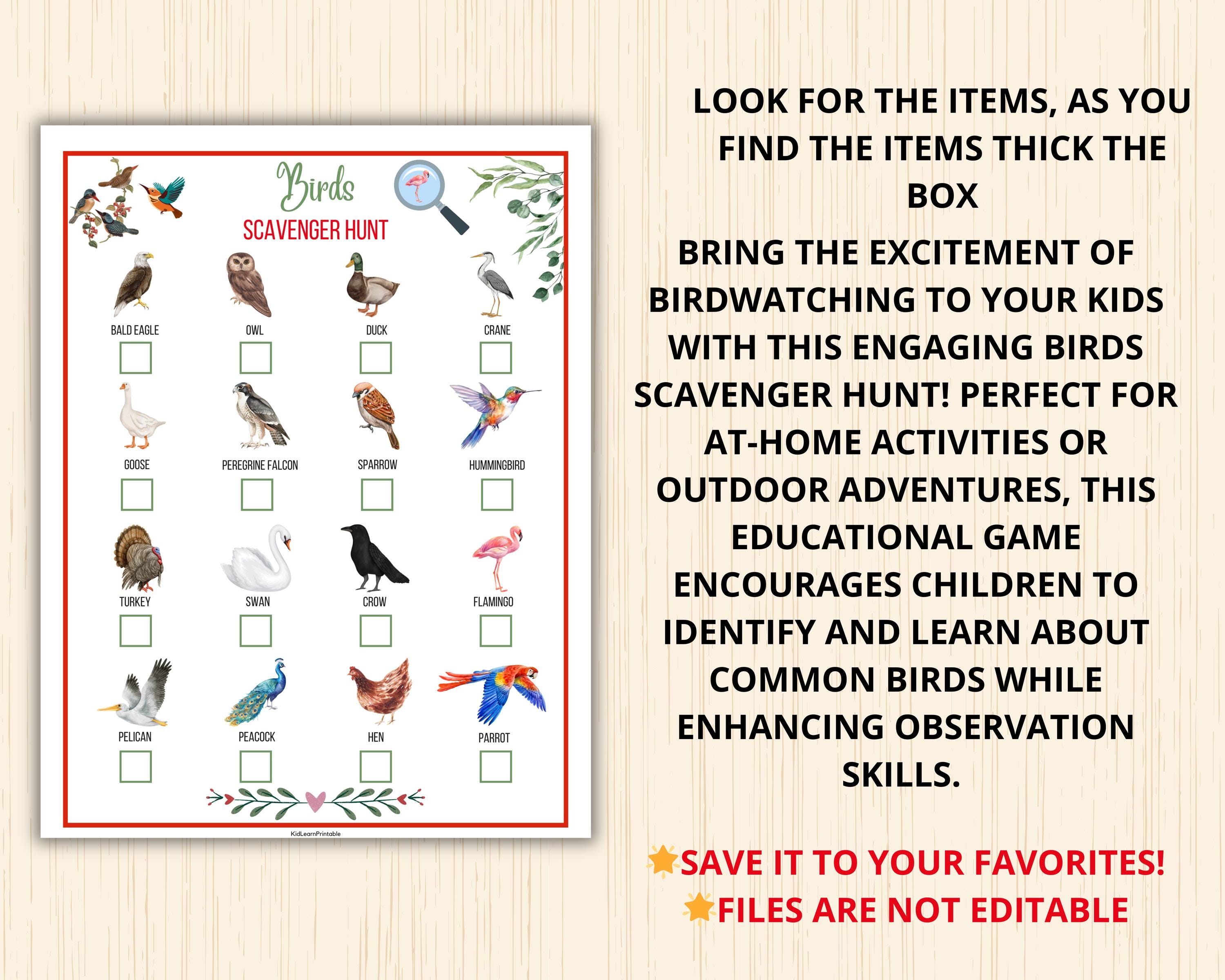 Birds Scavenger Hunt,nature Scavenger Hunt,nature Activity,bird ...