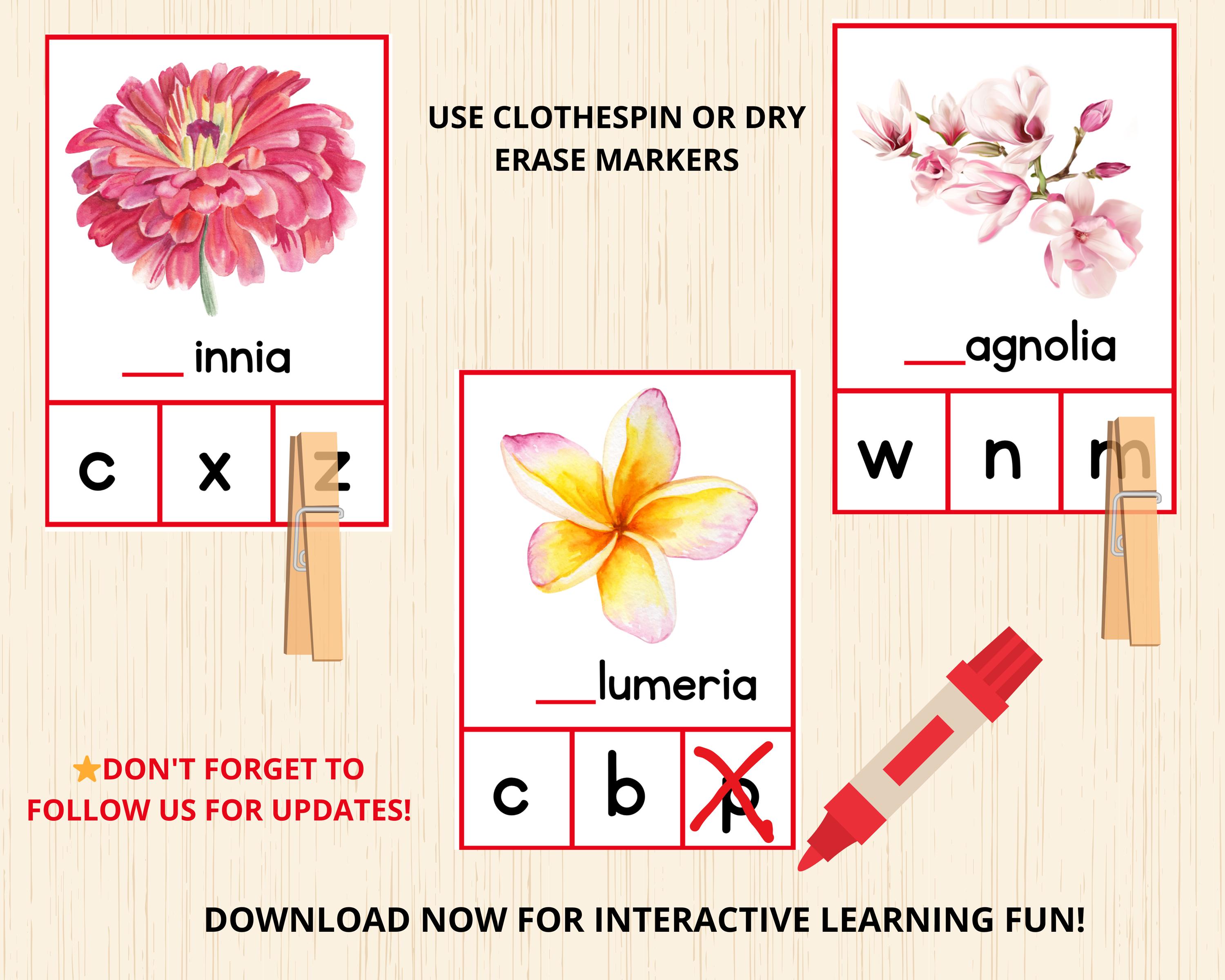 Flowers Beginning Sound,nature Letter Sound,flower Vocabulary,flower ...