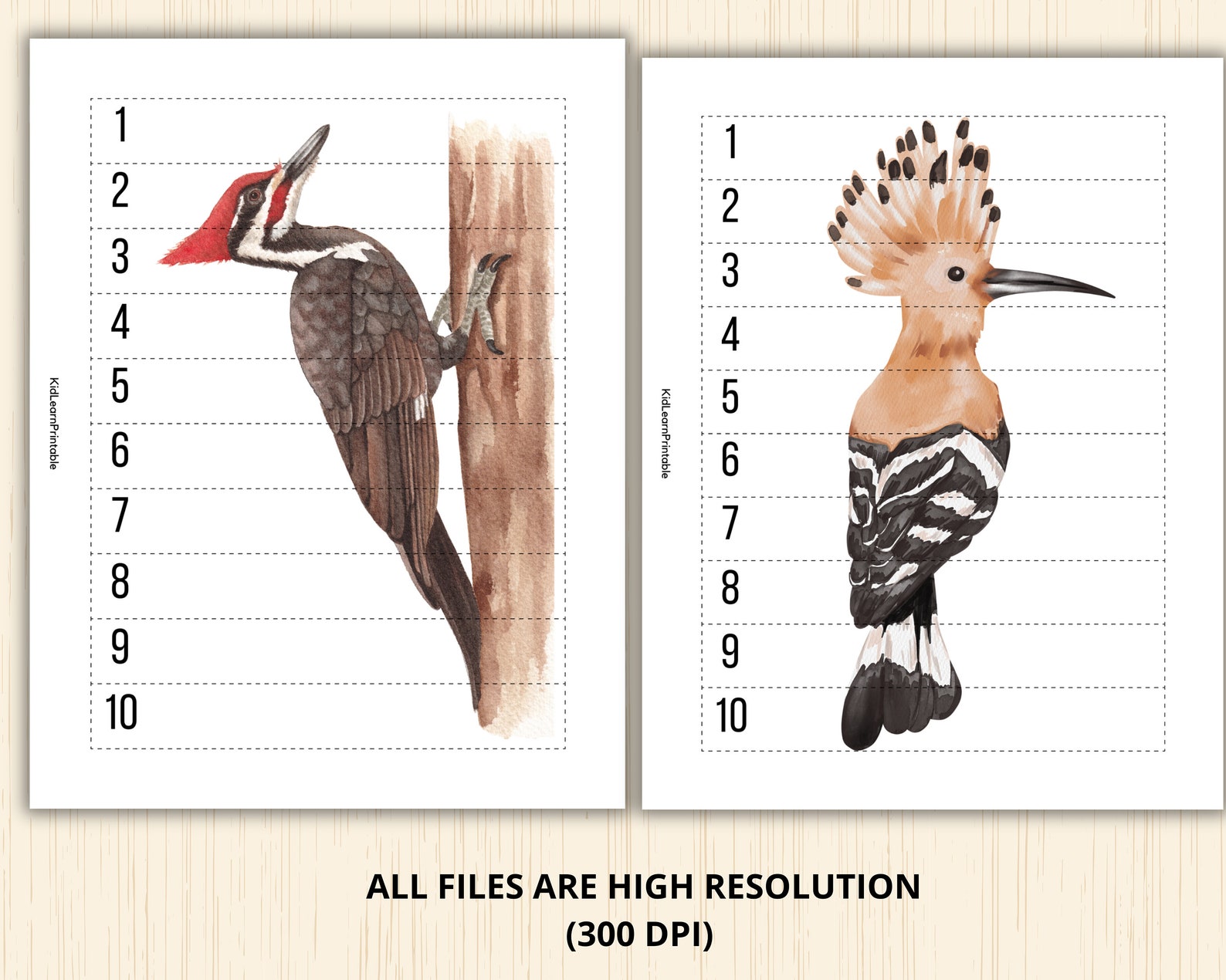 Birds Puzzle, Birds Number Sequence Puzzle,montessori Spring Math ...