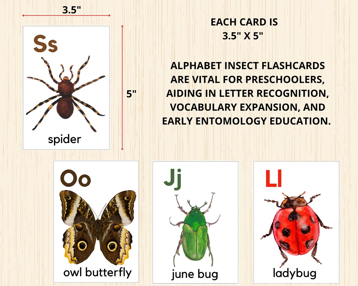 Insect Flashcards, Bug Alphabet,insect Alphabet Cards, Alphabet Flash ...
