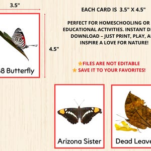 Butterfly Flashcards,butterfly Preschool Montessori,butterfly Unit ...