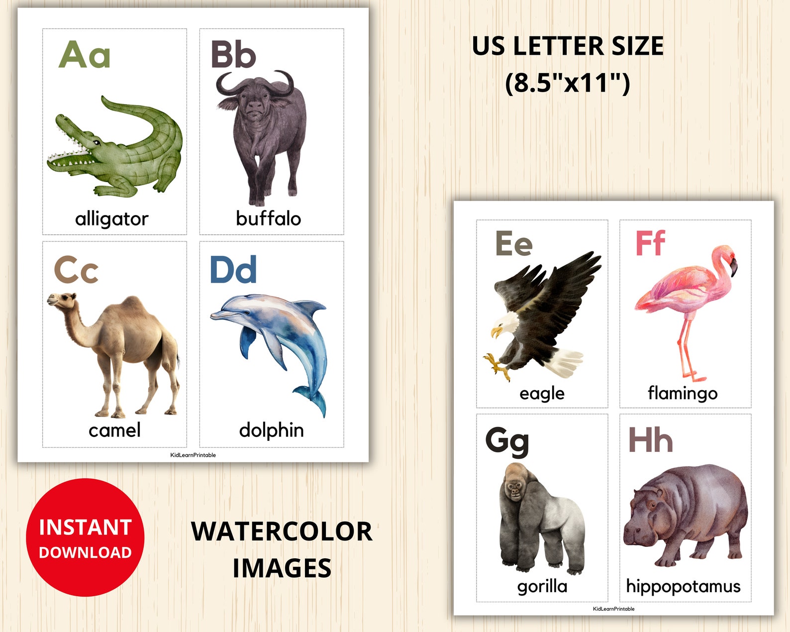 Wild Animals Flashcards,jungle Animals Alphabet,wild Animals Vocabulary ...