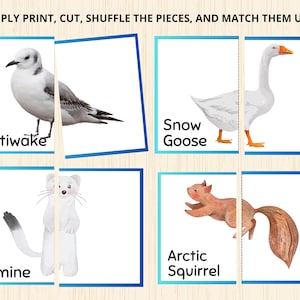 Arctic Animal Matching,arctic Animal Puzzle,winter Animal Montessori ...